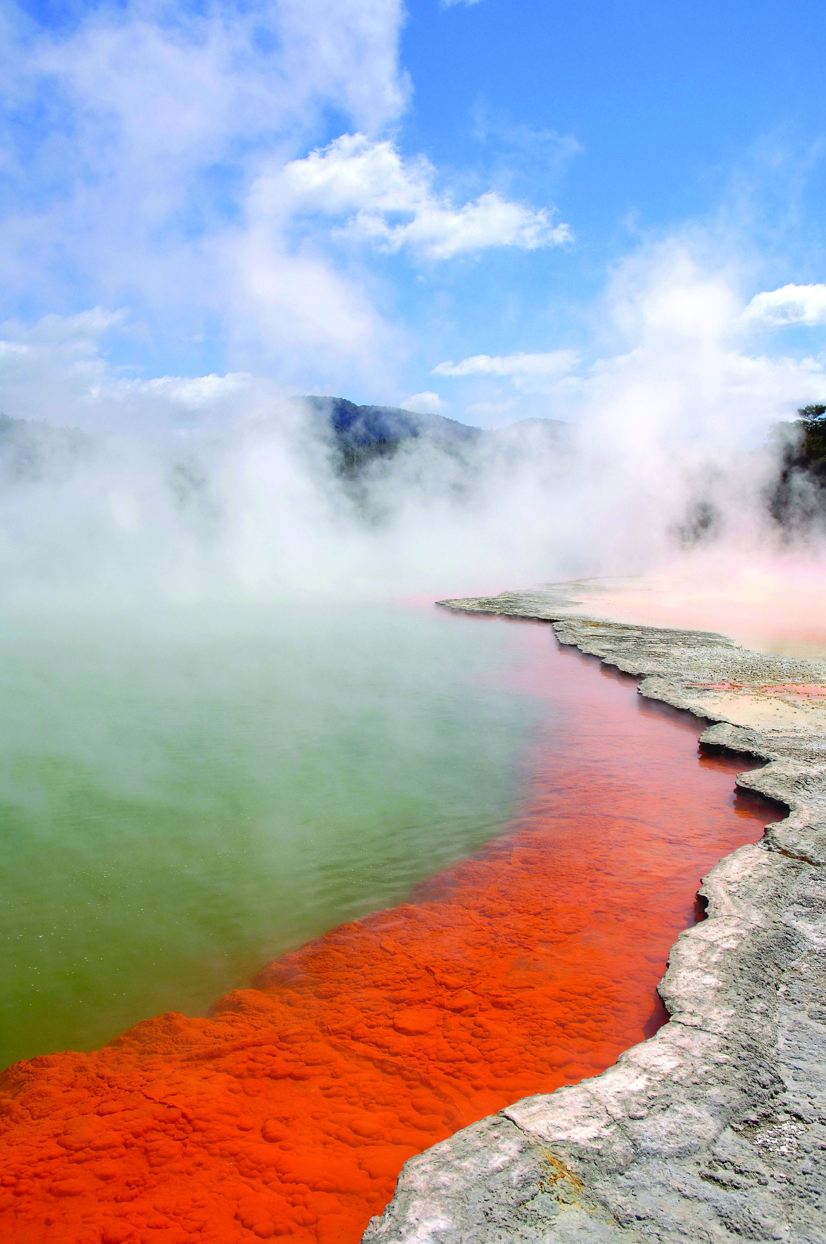 Auckland To Rotorua Private Tour TIME Unlimited Tours Auckland To Rotorua Private Tour TIME Unlimited Tours
